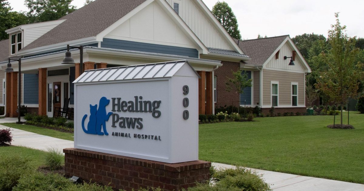 Project Insights: Healing Paws Animal… | Paradigm Marketing & Creative