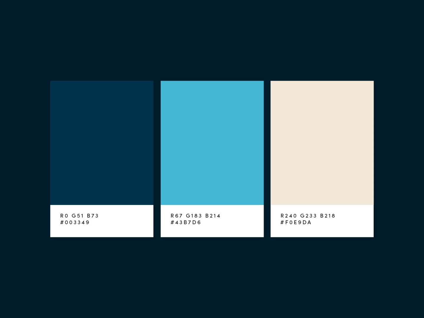 Hook Point Brewing Company | Paradigm Marketing & Creative